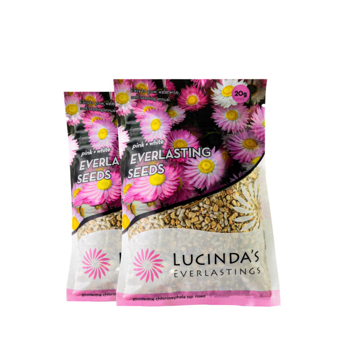 40g Everlasting Daisy Seeds | Pink & White | 2 x 20g Pack – Australian ...