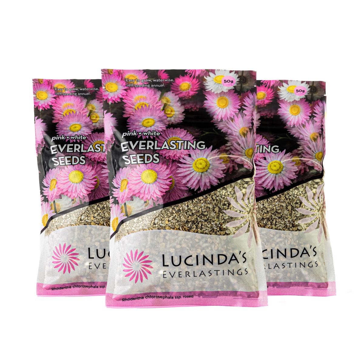 150g Everlasting Daisy Seeds | Pink & White | 3 x 50g Pack – Australian ...